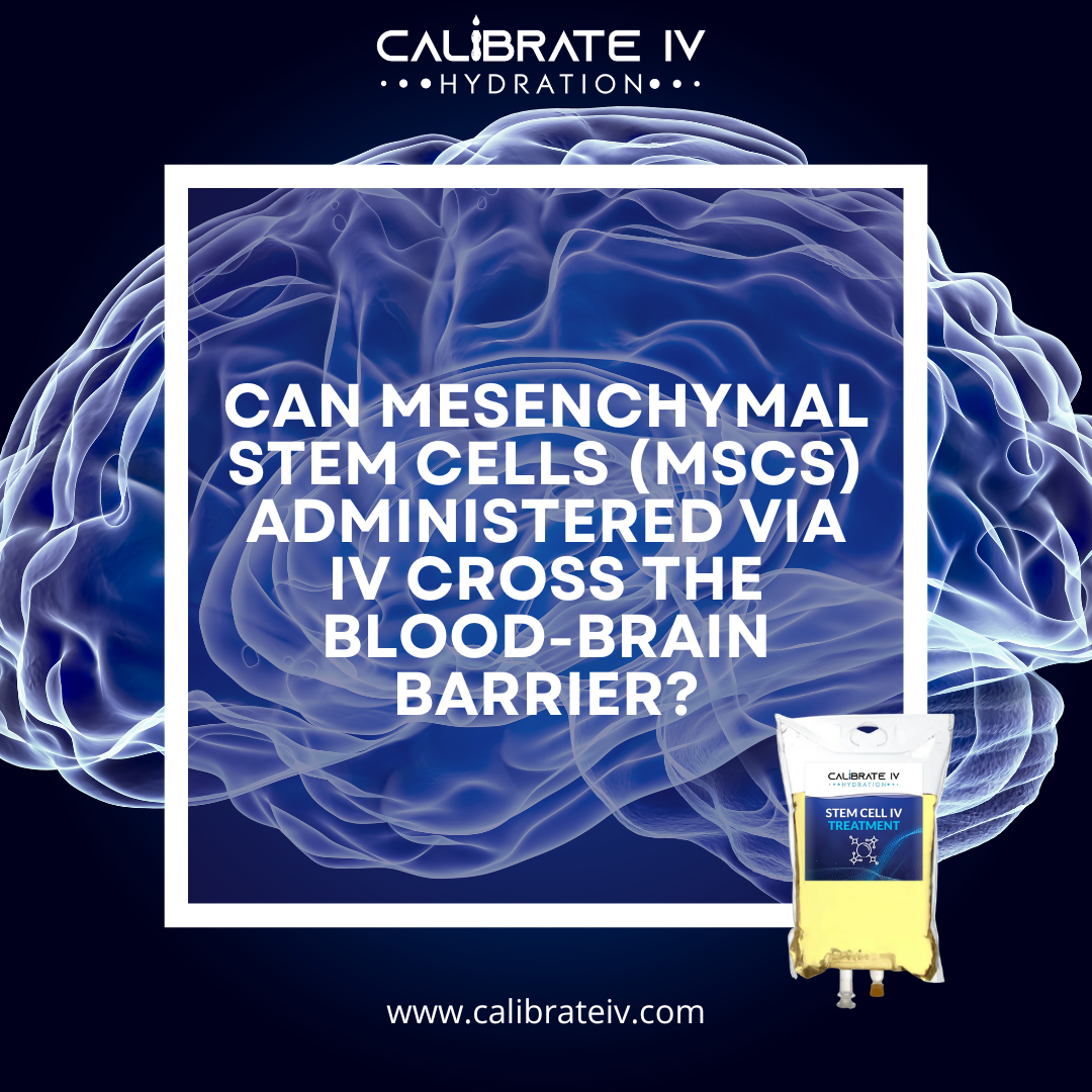 Can Mesenchymal Stem Cells (MSCs) Administered via IV Cross the Blood- – Calibrate Hydration
